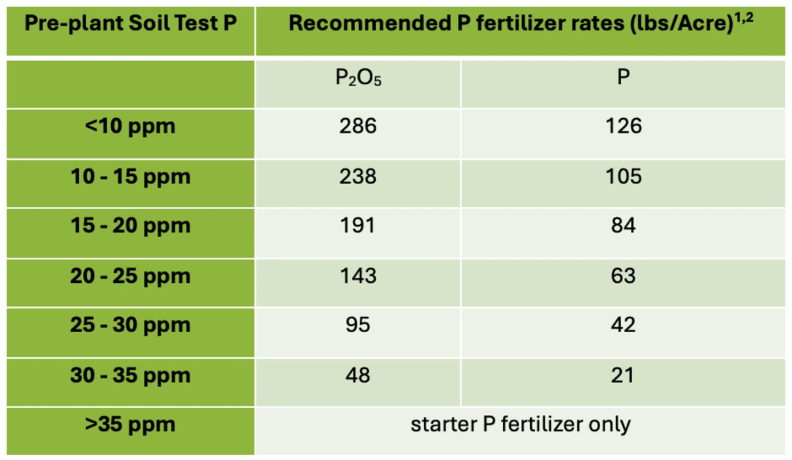Lettuce Fertilization (3.1) | Desert Ag Solutions